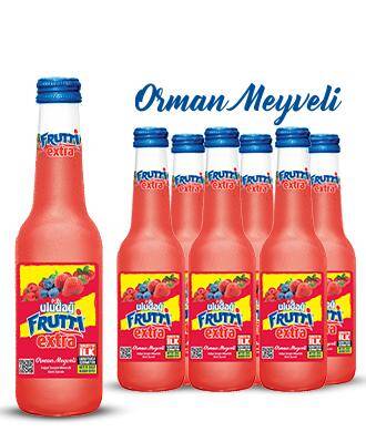 Uludağ Frutti Extra 250 Ml.orman Meyv. x6 Gazlı İçecekler ULUDAĞ